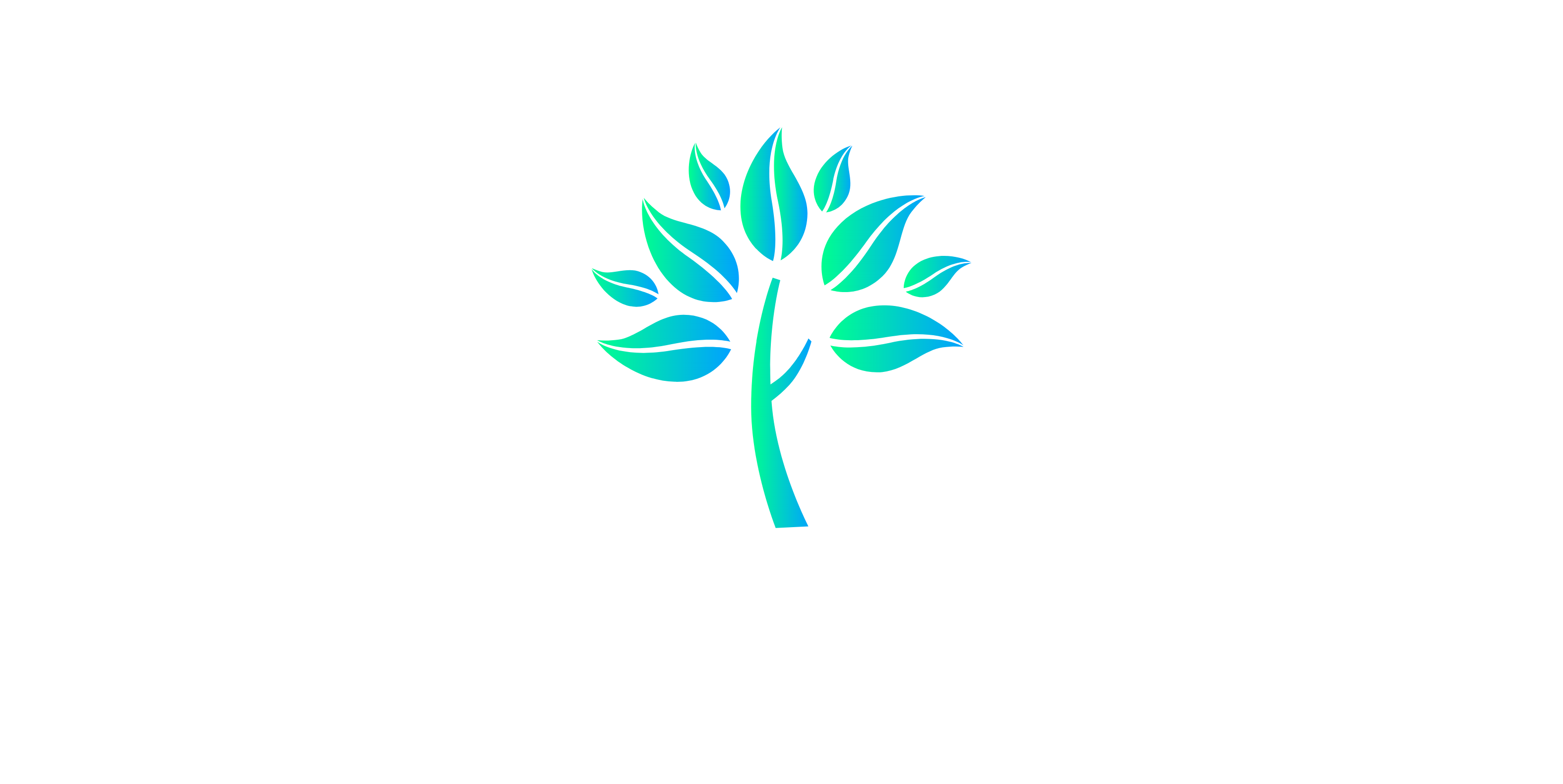 Color logo – no background